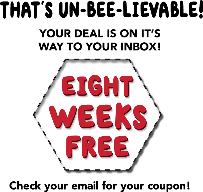 Rent to Own Living Room Rentals | Advanced Rent To Own