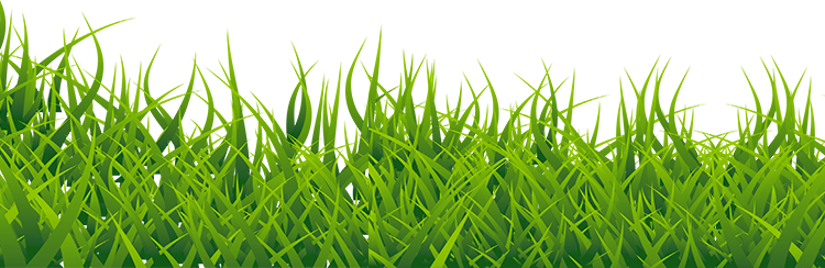 Rent to Own Living Room Rentals | Advanced Rent To Own